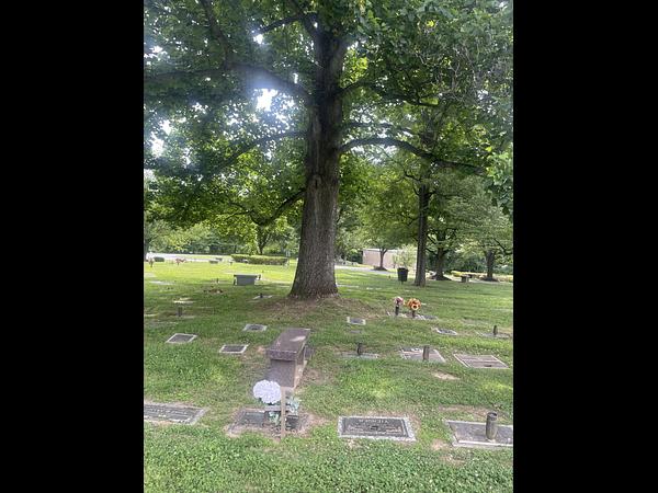 2 burial plots available for sale in Columbia Memorial | BurialLink